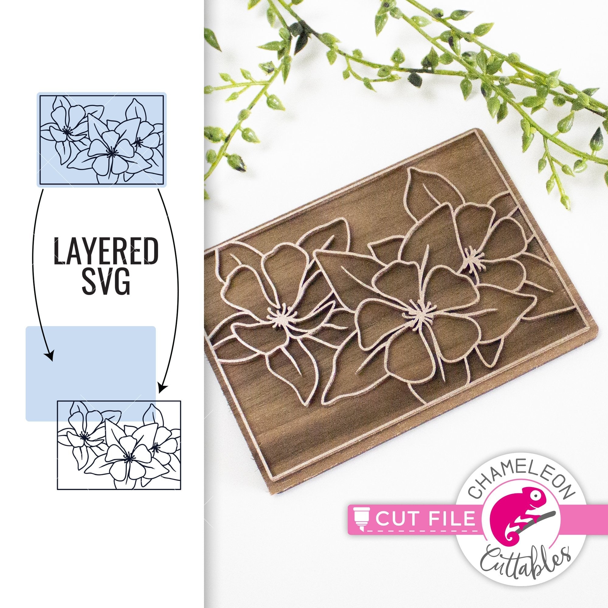 Colorado state flower SVG for Glowforge svg png dxf eps jpeg Chameleon ...