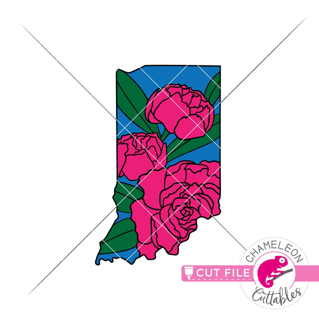 Indiana state flower peony layered svg png dxf eps jpeg Chameleon ...