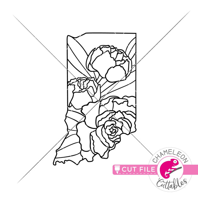 Indiana state flower peony outline svg png dxf eps jpeg Chameleon ...