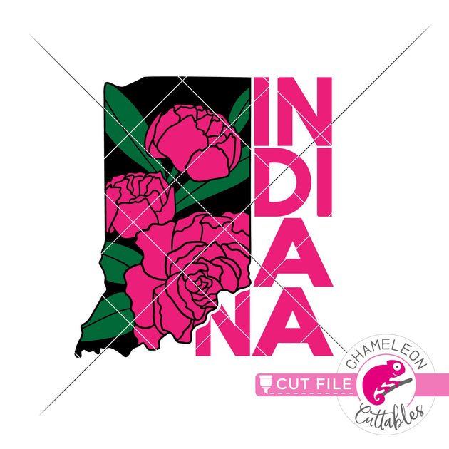Indiana state flower peony svg png dxf eps jpeg Chameleon Cuttables LLC ...