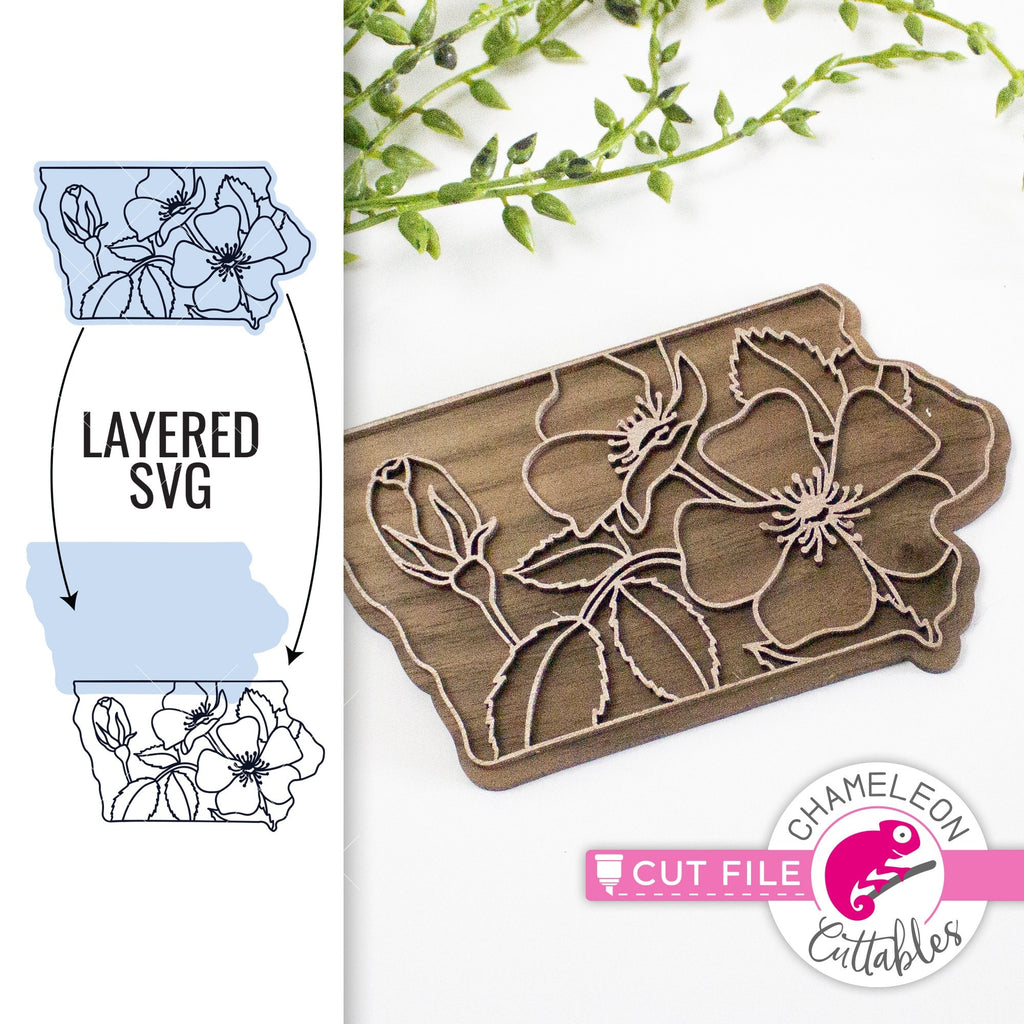Iowa state flower SVG png dxf eps jpeg Chameleon Cuttables LLC ...
