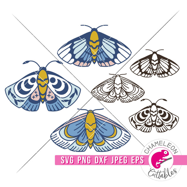 Moth Bundle svg png dxf eps jpeg Chameleon Cuttables LLC | Chameleon ...