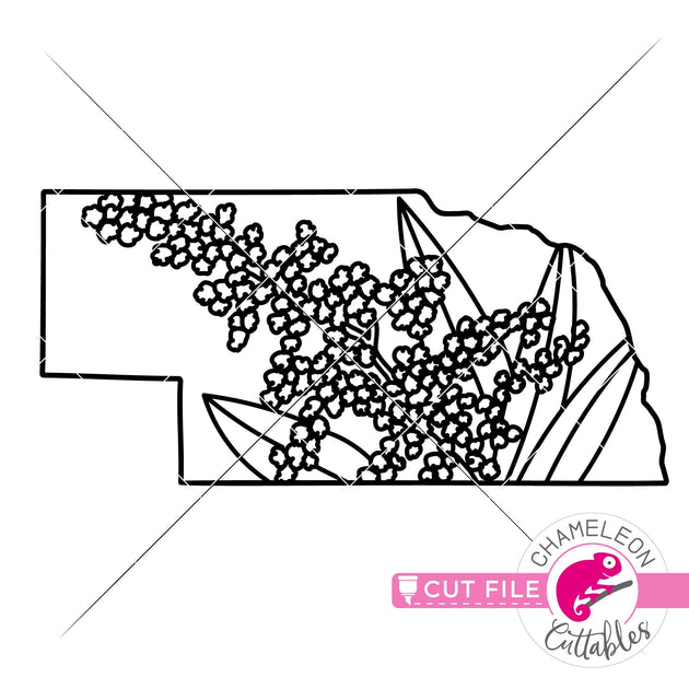 Nebraska state flower Goldenrod outline svg png dxf eps jpeg Chameleon ...