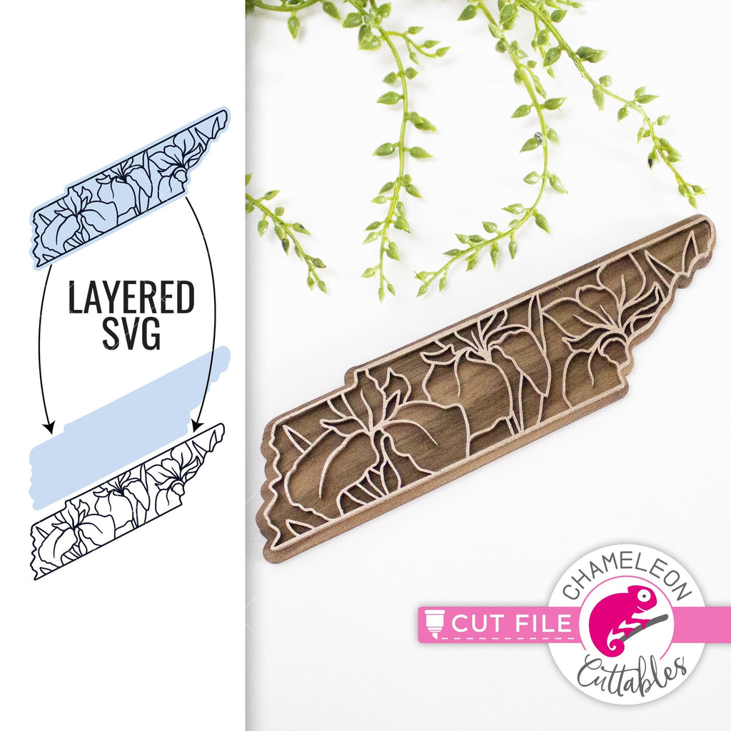 Tennessee state flower SVG png dxf eps jpeg Chameleon Cuttables LLC ...