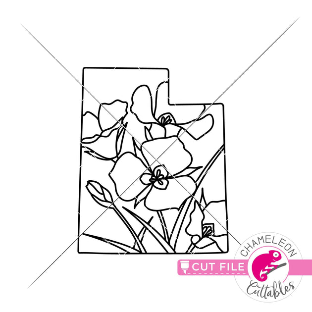 Utah state flower Sego Lily outline svg png dxf eps jpeg Chameleon ...