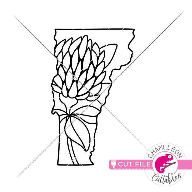 Vermont state flower Red Clover outline svg png dxf eps jpeg Chameleon ...